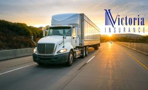 Victoria Insurance Company Review - 2024