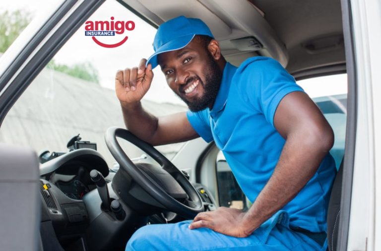 Amigo Insurance Review [2024]