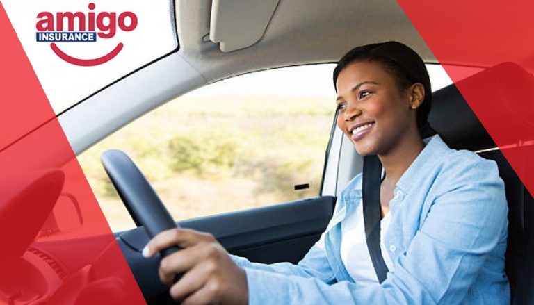 Seguros Amigo - Reseñas y Cobertura 2024 | Tarifas Directas y Seguras